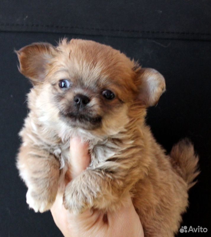 Я- самый красивый в мире