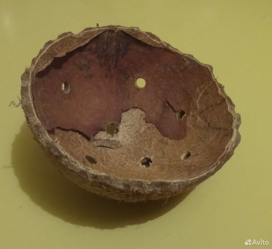 Скорлупа кокоса для аквариума