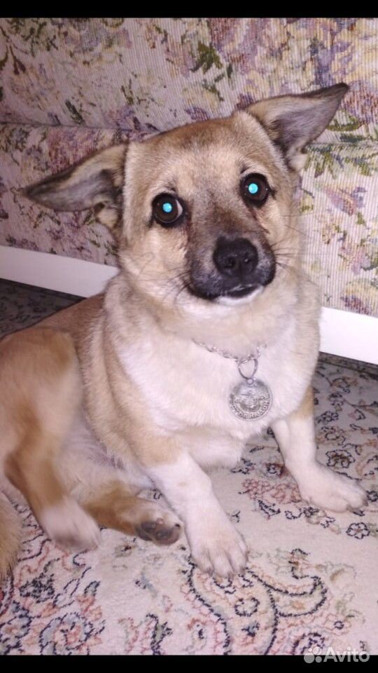 Парень ищет подругу