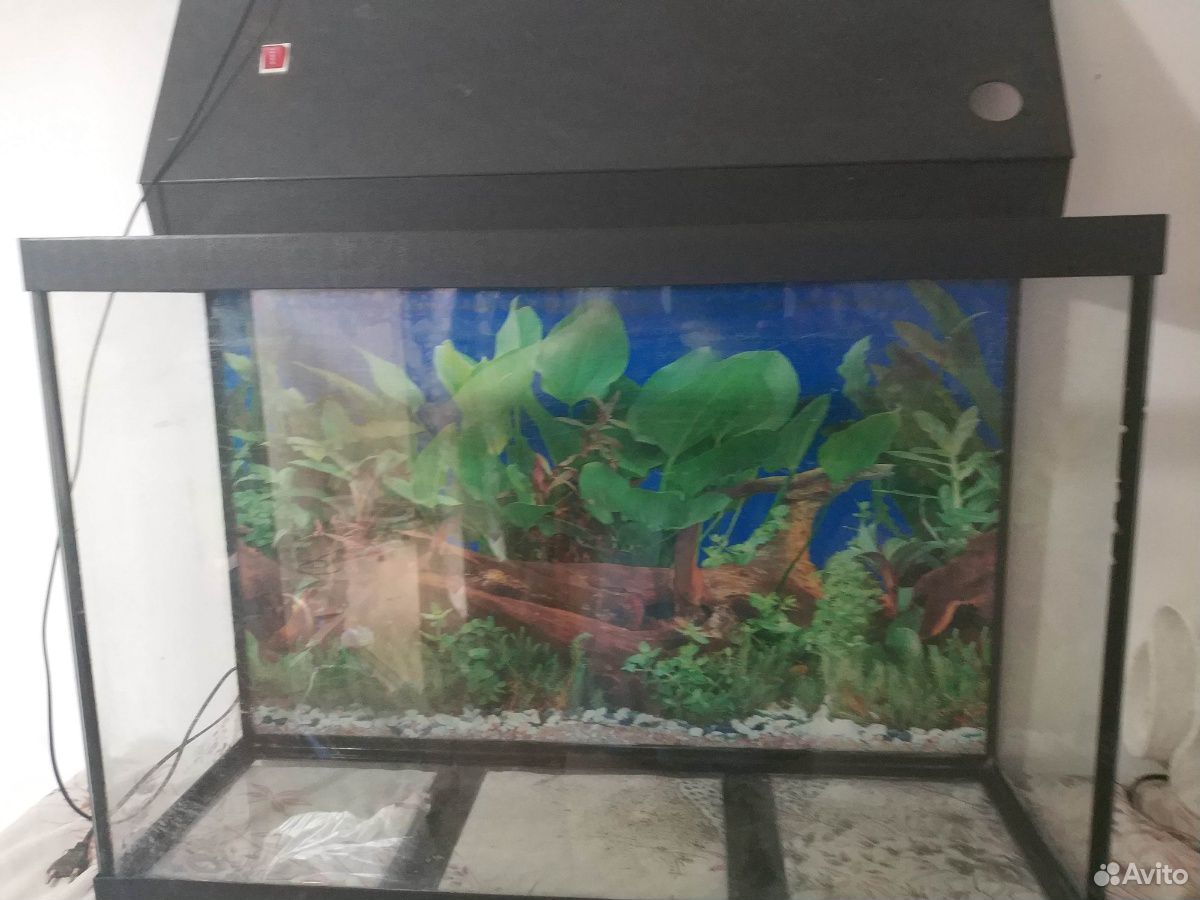 Аквариум