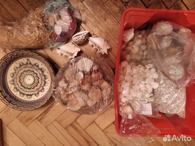 Ракушки для аквариума