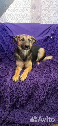 Красавица Даша ждет своего человека