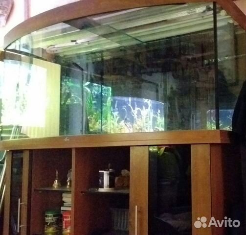 Аквариум Панорама 600 литров от Биодизайн