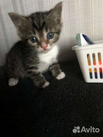 Мальчишка шпротик