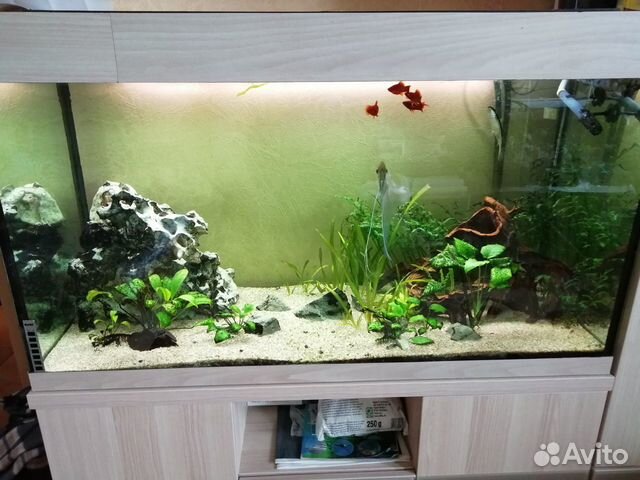 Аквариум