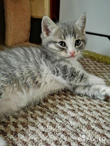 Смурфик и Ленчик