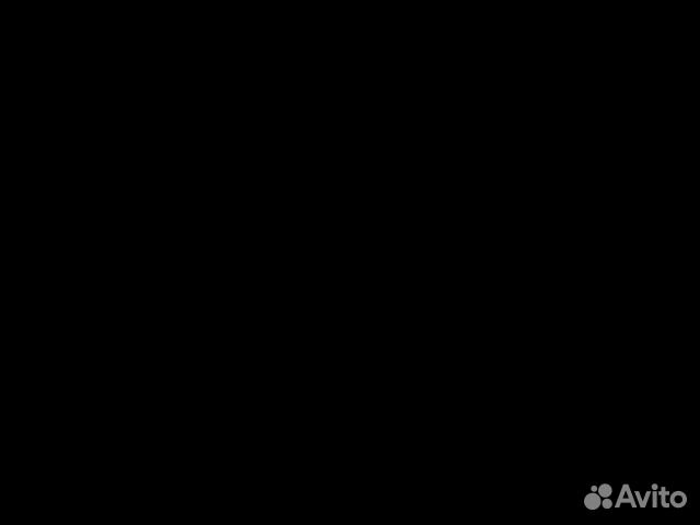 Ищу лошадь в аренду (выездка)