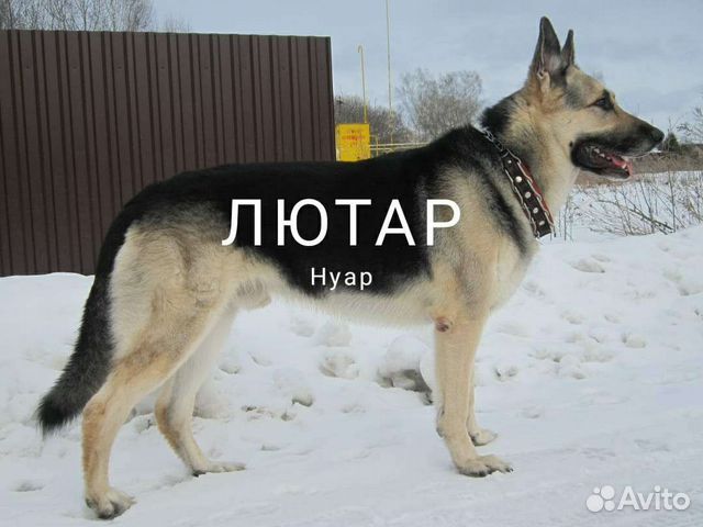 Бронирование малышей вео