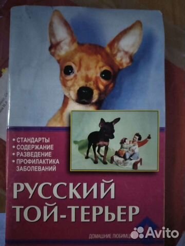 Той терьер