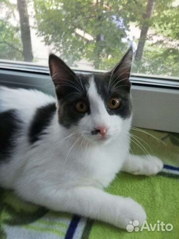 Европейская