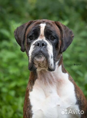 Открыто резервирование