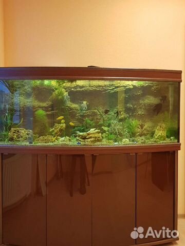 Продам аквариум 450л, бу