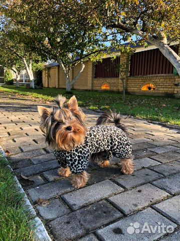 Маленькая девочка