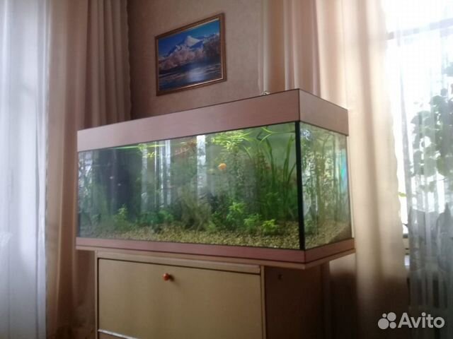 Аквариум 135л