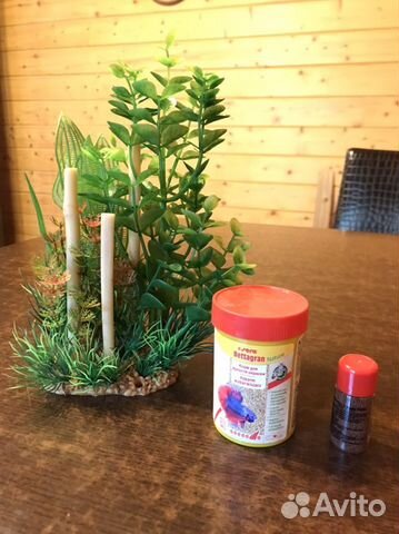 Корм для петушка