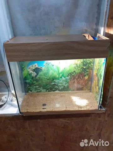 Аквариум 50 литров
