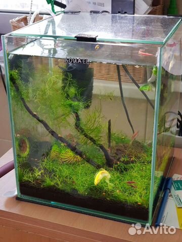 Аквариум полный комплект