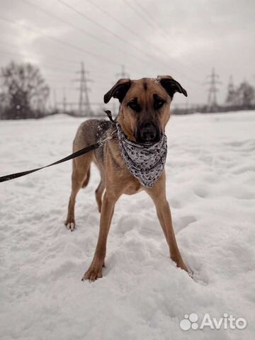 Скромный Лео очень ждет вас
