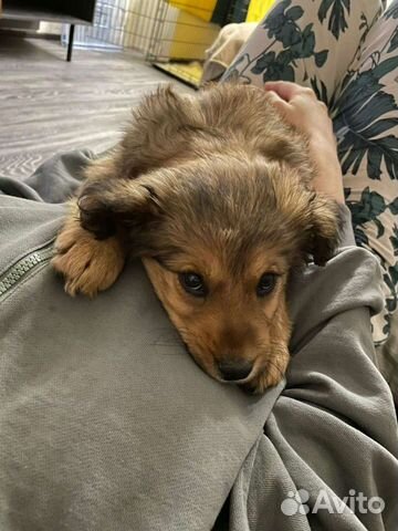 Георгию 1.5 месяца и он хочет домой