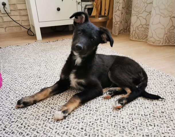 Забавный мальчишка 3 месяца бесплатно