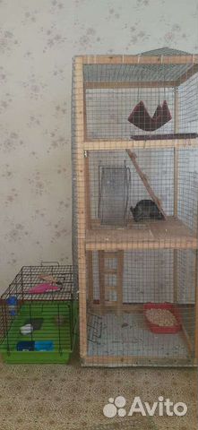 Продам шиншилу с клетками