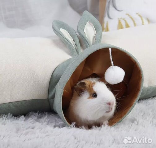 Морские свинки туннель