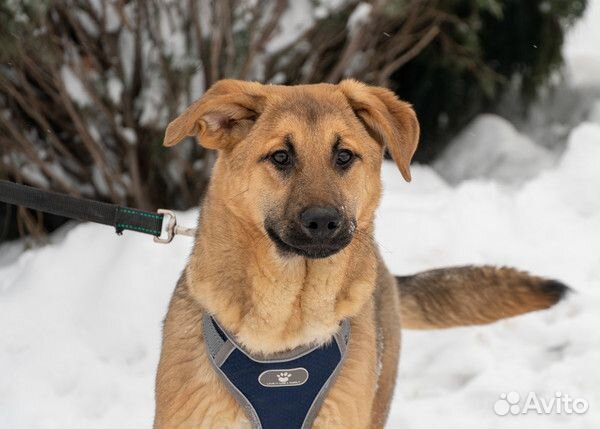 Юная симпотяжка Омега в добрые руки