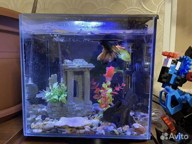 Аквариум Tetra 12 литров