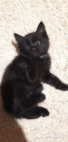 В хорошие руки