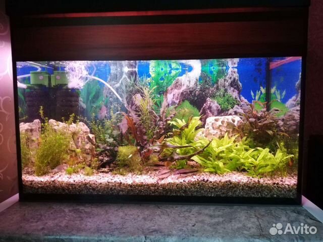 Аквариум
