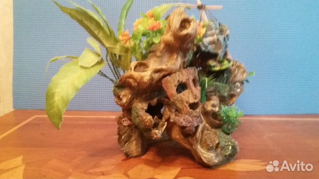 Для домашнего аквариума