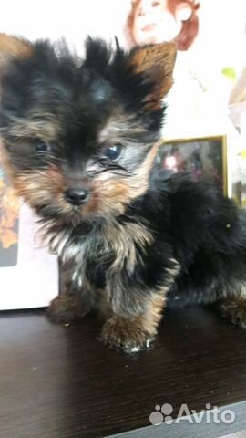 Миник малыш