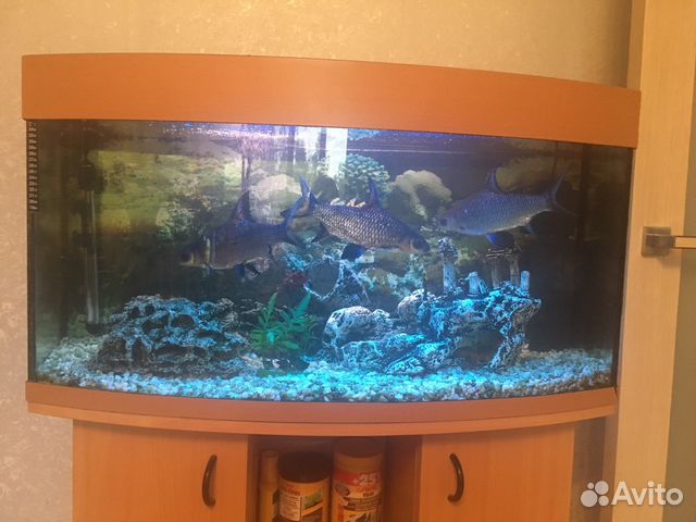 Аквариум