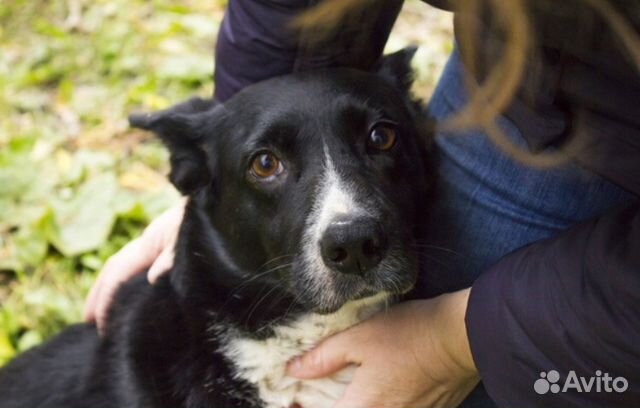 Очаровательная Жасмин ищет дом