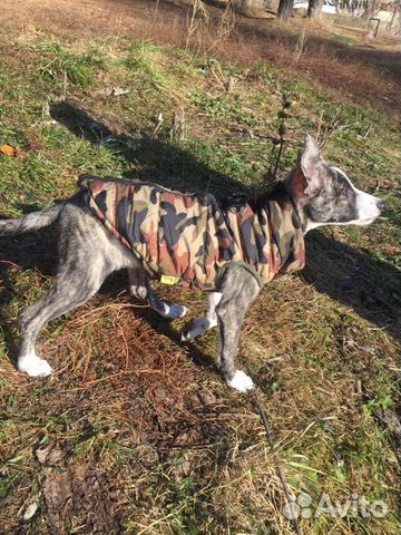 В ответственные руки