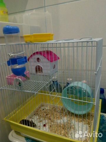 Большая клетка с хомякои