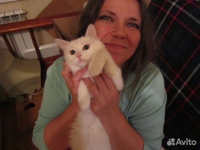 Белоснежная Пушинка ищет добрых, заботливых друзей