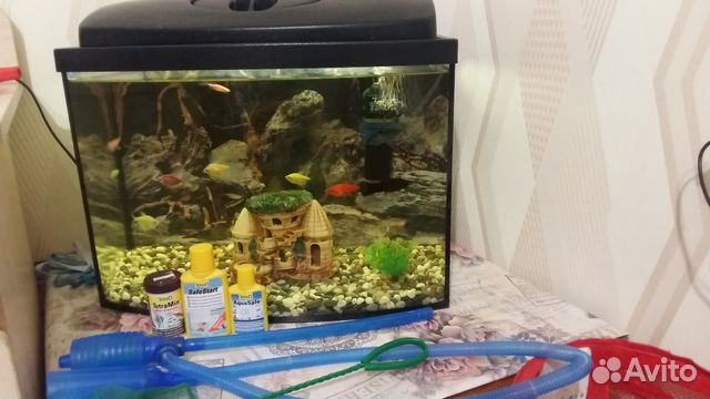 Аквариум с рыбками