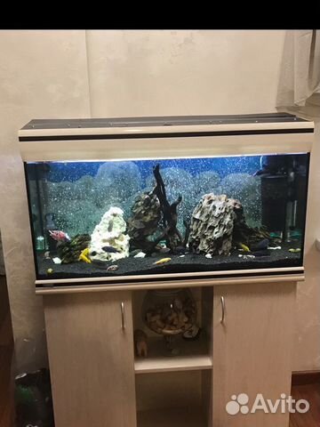 Аквариумный комплекс 175 литров