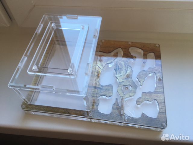 Муравьиная ферма