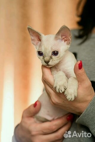 Синеглазый Енисей