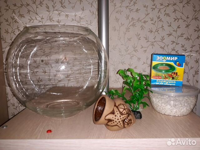 Аквариум круглый 4л с аксессуарами