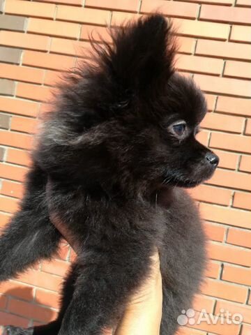 Маленькое чудо