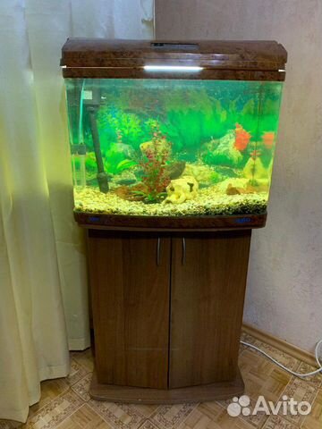 Аквариум jebo 200л