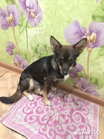 Кабель, 7 месяцев