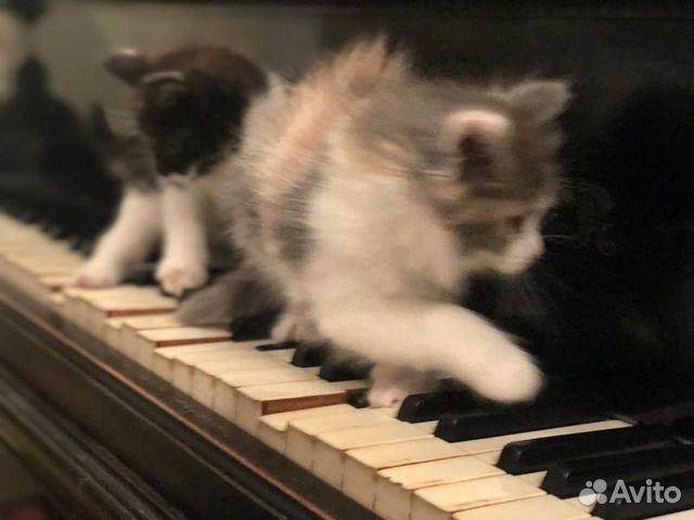 Необыкновенное чудо ждёт вас