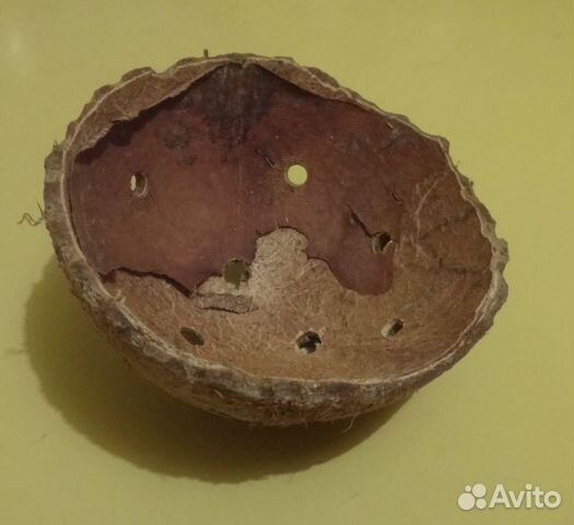 Скорлупа кокоса для аквариума