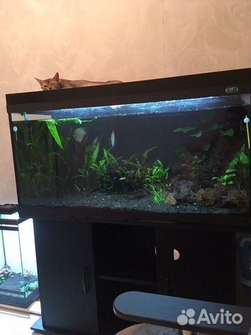 Аквариум