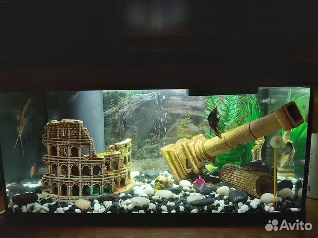 Аквариум 60 литров