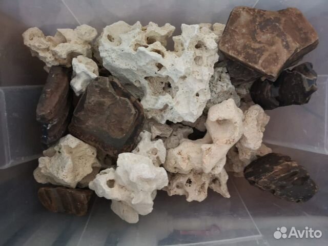 Камни Занзибар, камни Погода